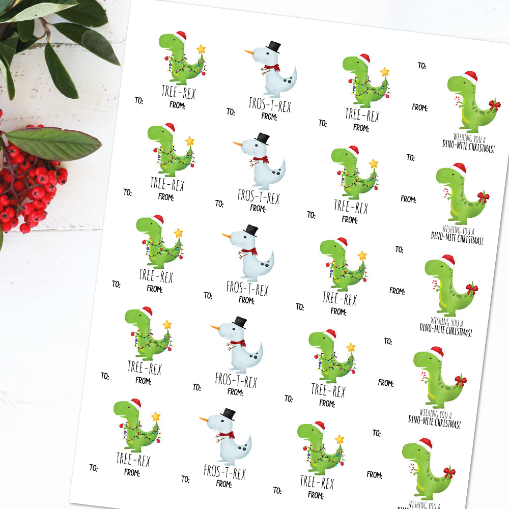 Christmas Dinosaurs Mix (Gift Tag) - Stickers – A Little Leafy